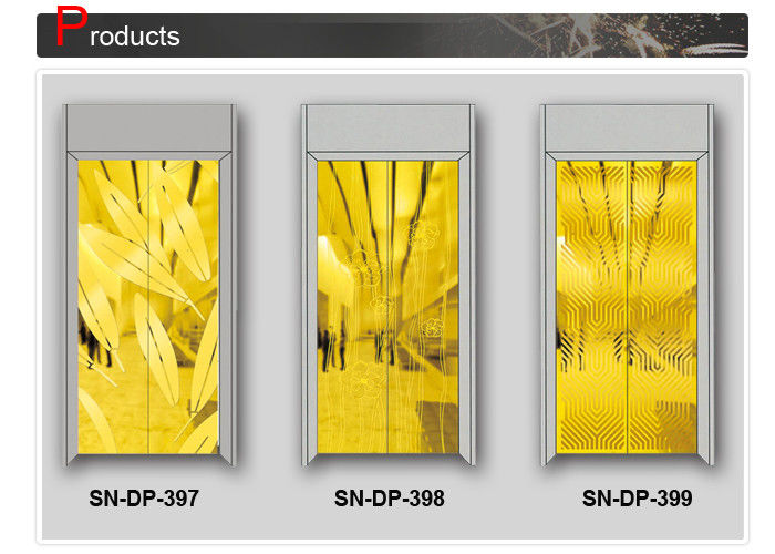 Stainless Steel st . St Splendid Elevator Door Panel for Passenger Lift